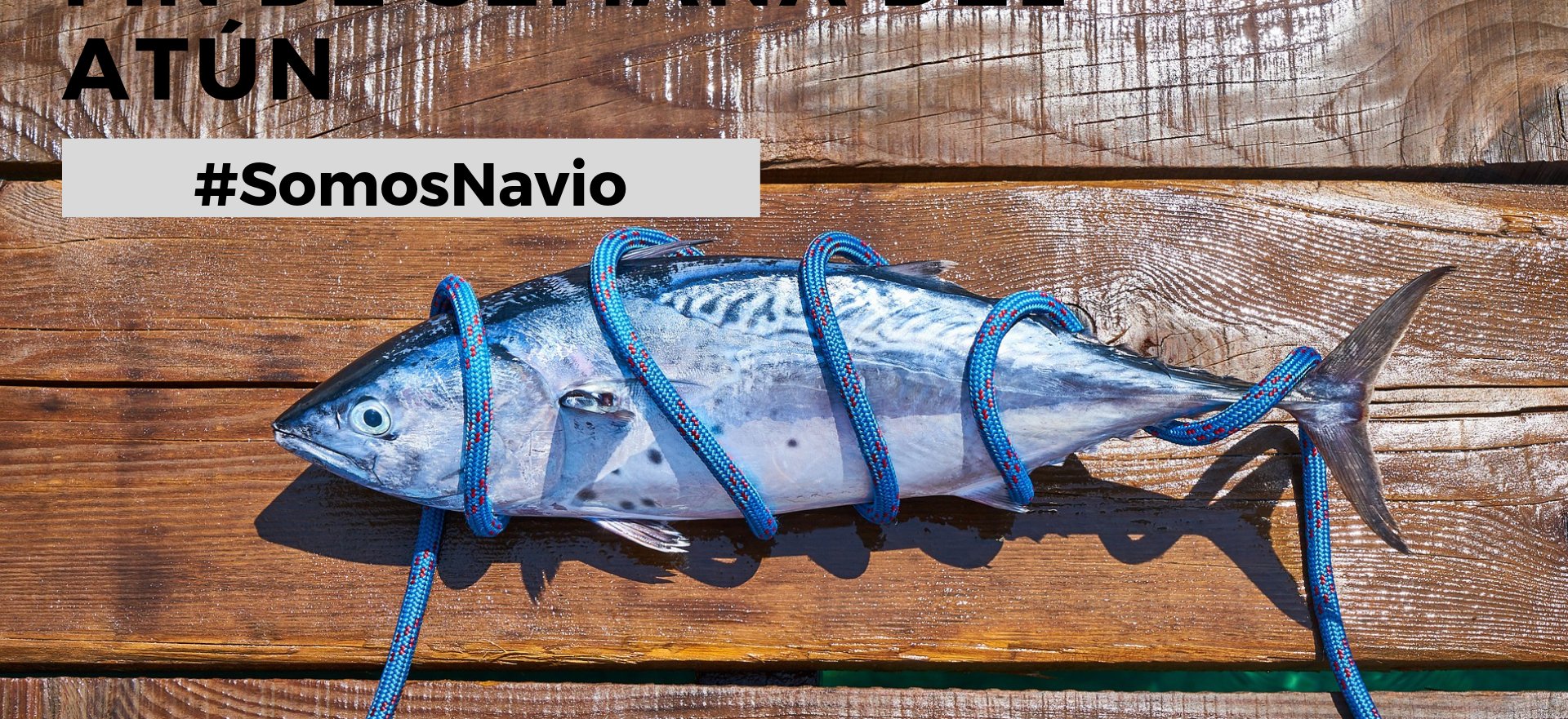 Restaurante El Navío - Málaga